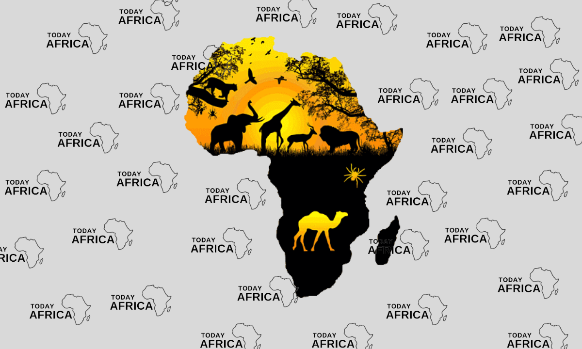 Time Wasted is Never Regained: Why Every Second Counts - Today Africa