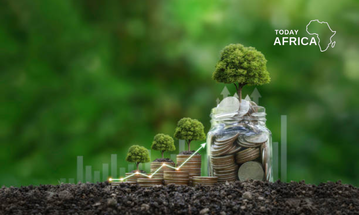 Seed vs Pre-Seed: What are the Key Differences - Today Africa