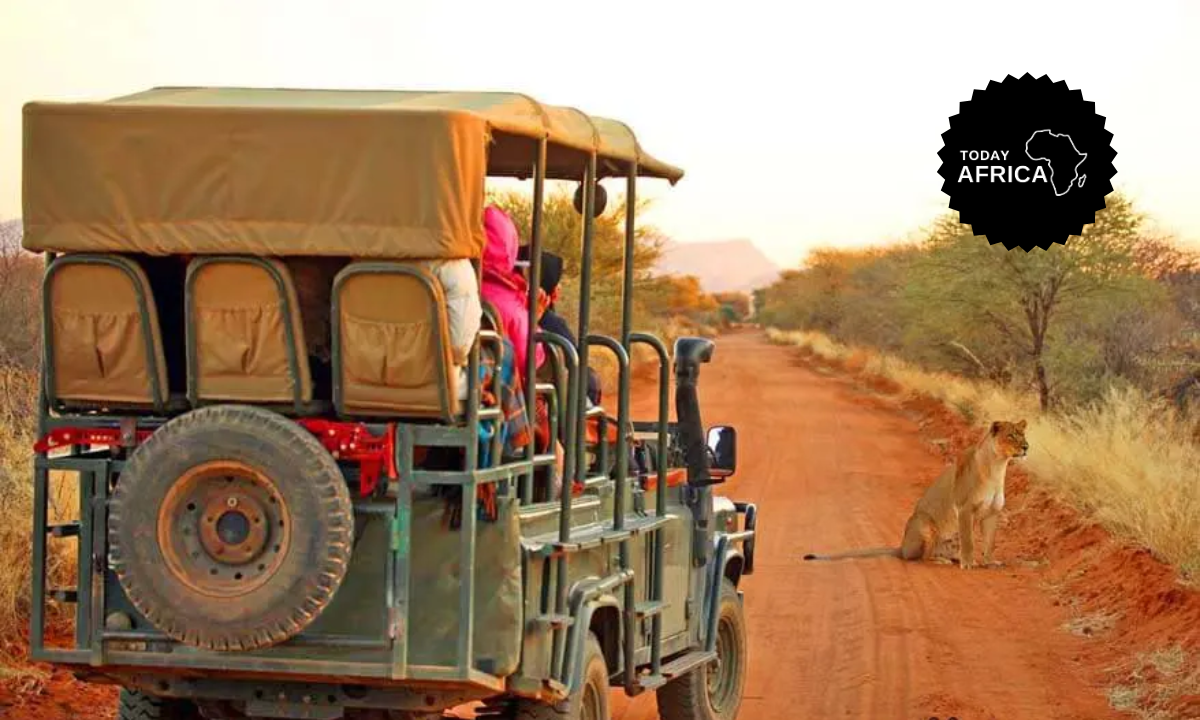 What to Pack for African Safari in September - Today Africa