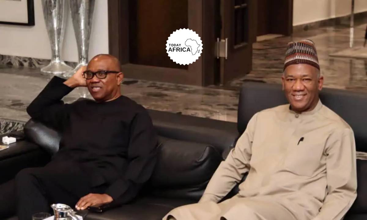 The Man Called Peter Gregory Obi - Today Africa