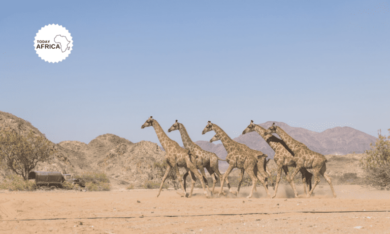 Top 18 Things to do in Angola This Year - Today Africa